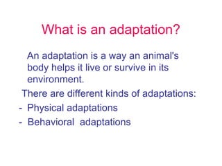 Adaptations science 3º | PPT
