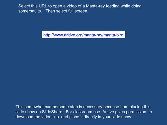 Adaptations for getting and chomping food (teach) | PPT