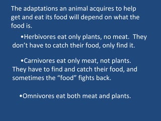 Adaptations for getting and chomping food (teach) | PPT