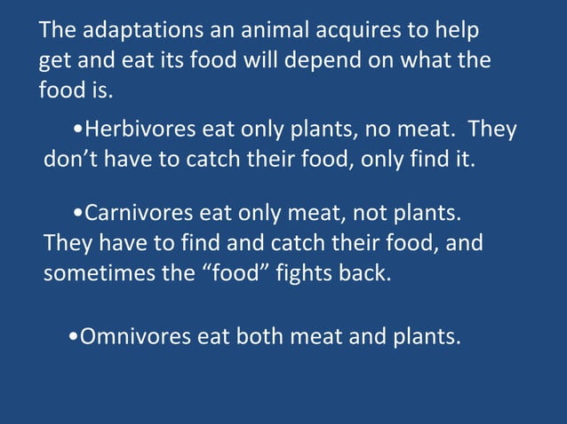 Adaptations for getting and chomping food (teach) | PPT