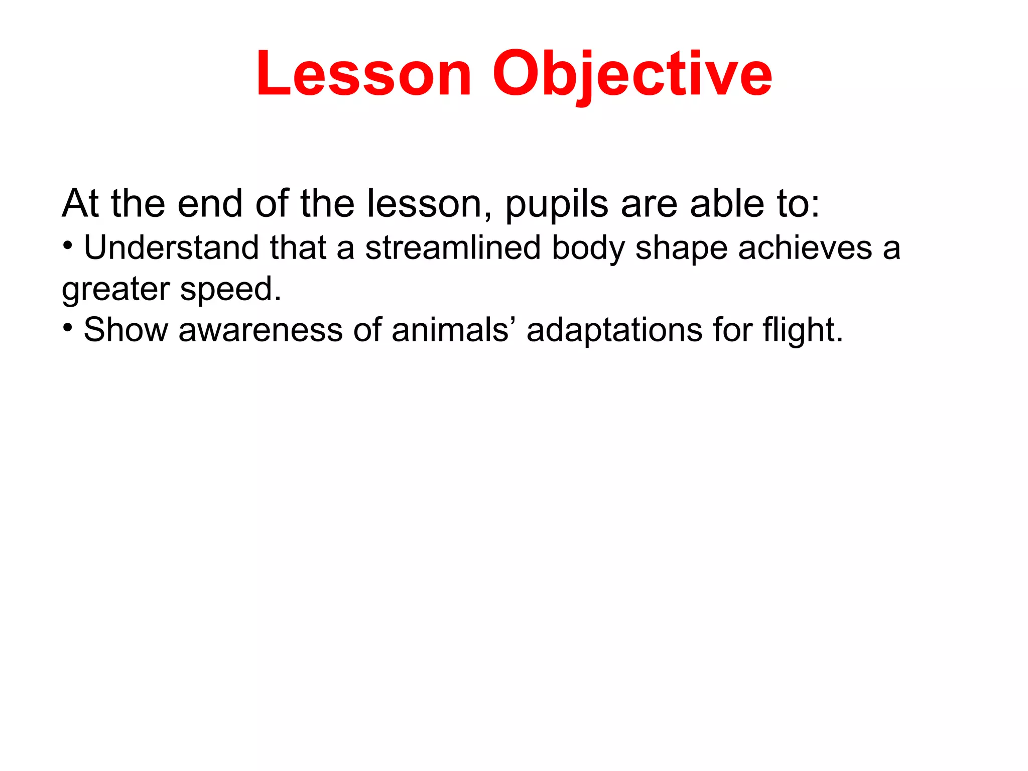 Adaptations For Movement (30 Jun) | PPT | Birds | Pets