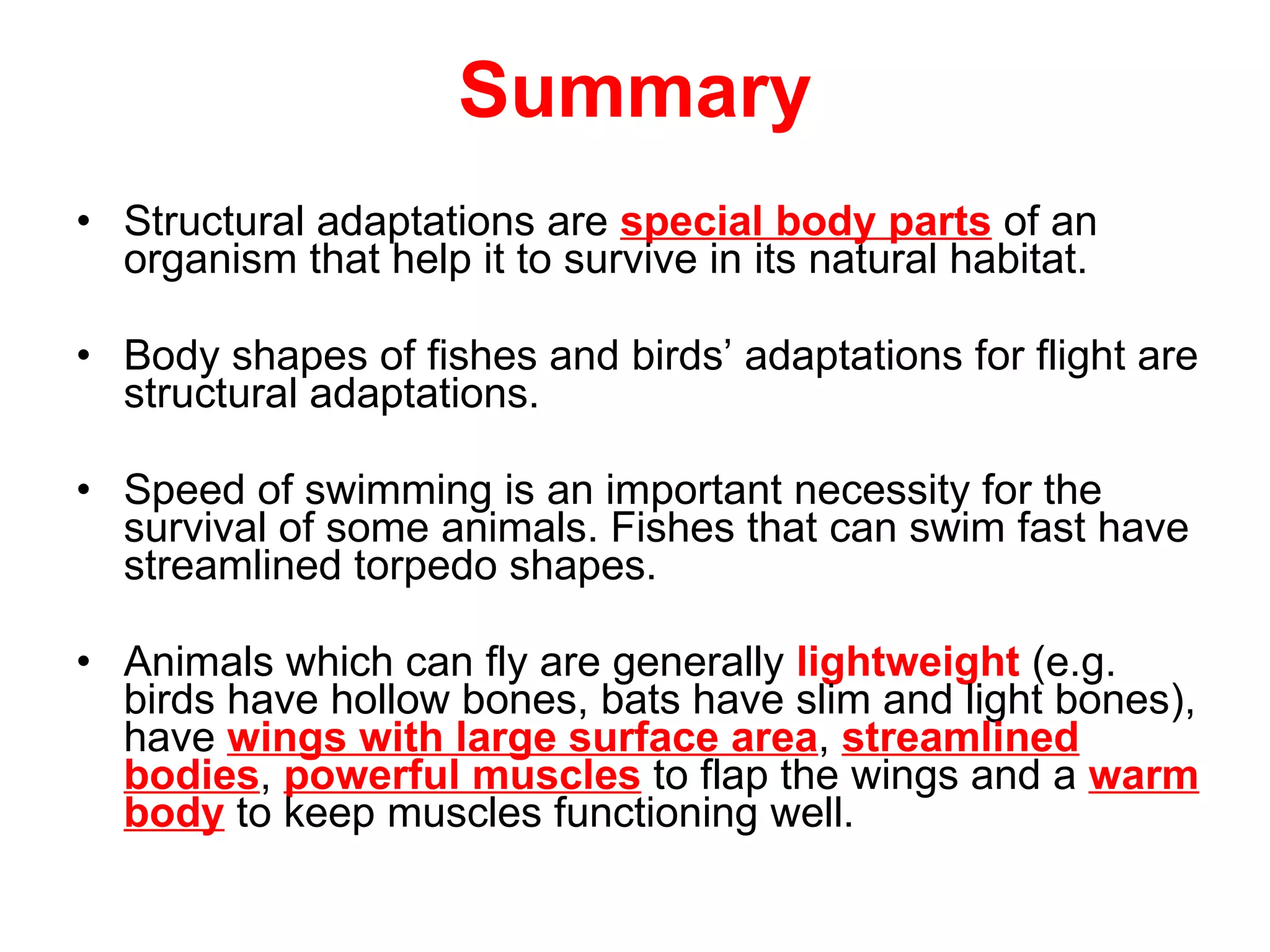 Adaptations For Movement (30 Jun) | PPT | Birds | Pets