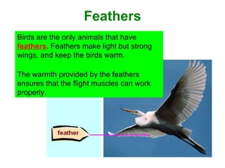 Adaptations For Movement (30 Jun) | PPT