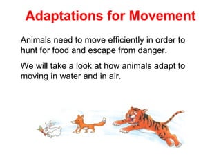 Adaptations For Movement (30 Jun) | PPT | Birds | Pets