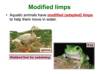 Adaptations For Movement (30 Jun) | PPT