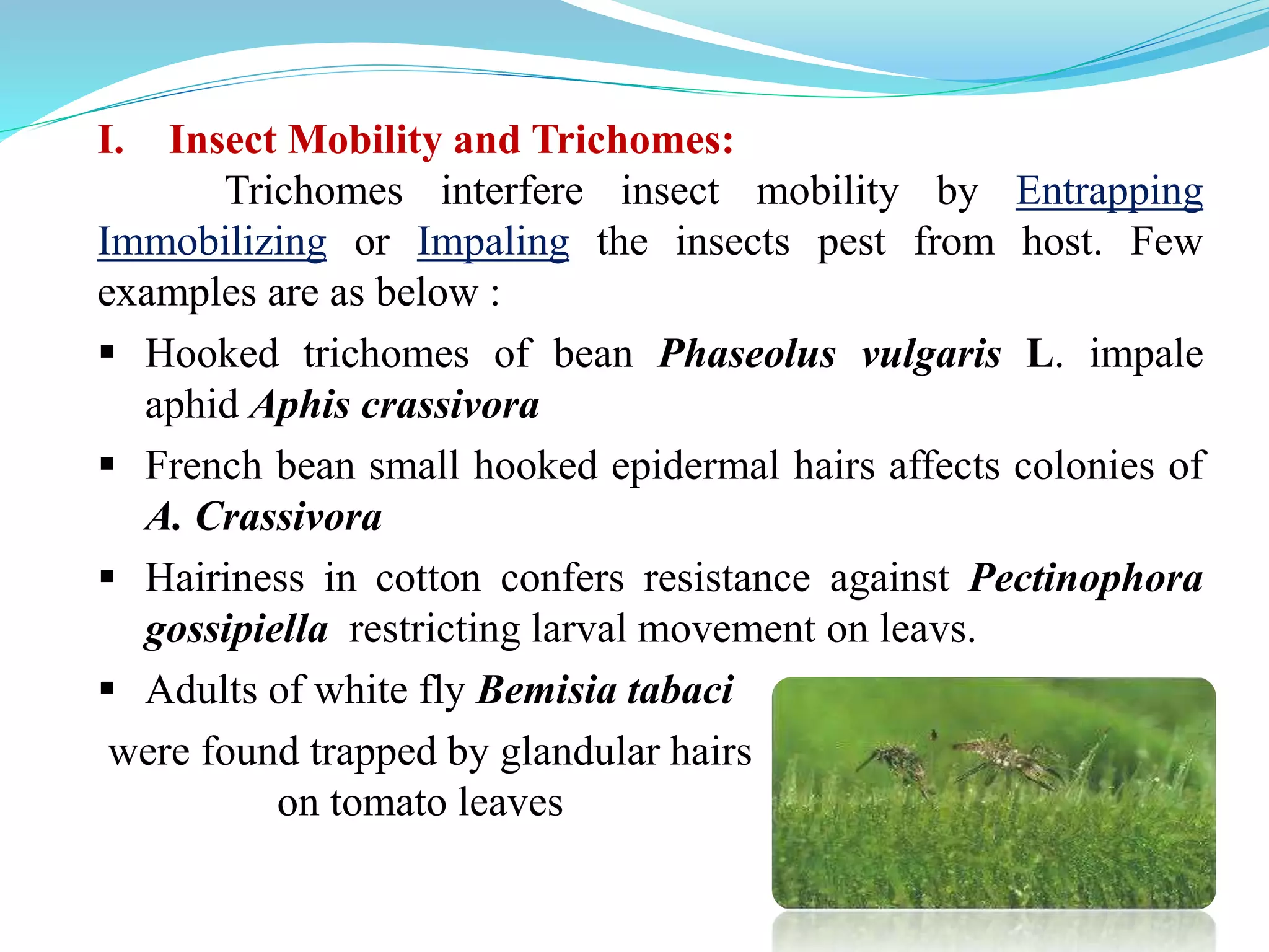Morphological, Physiological and Anatomical Adaptations for Plant ...