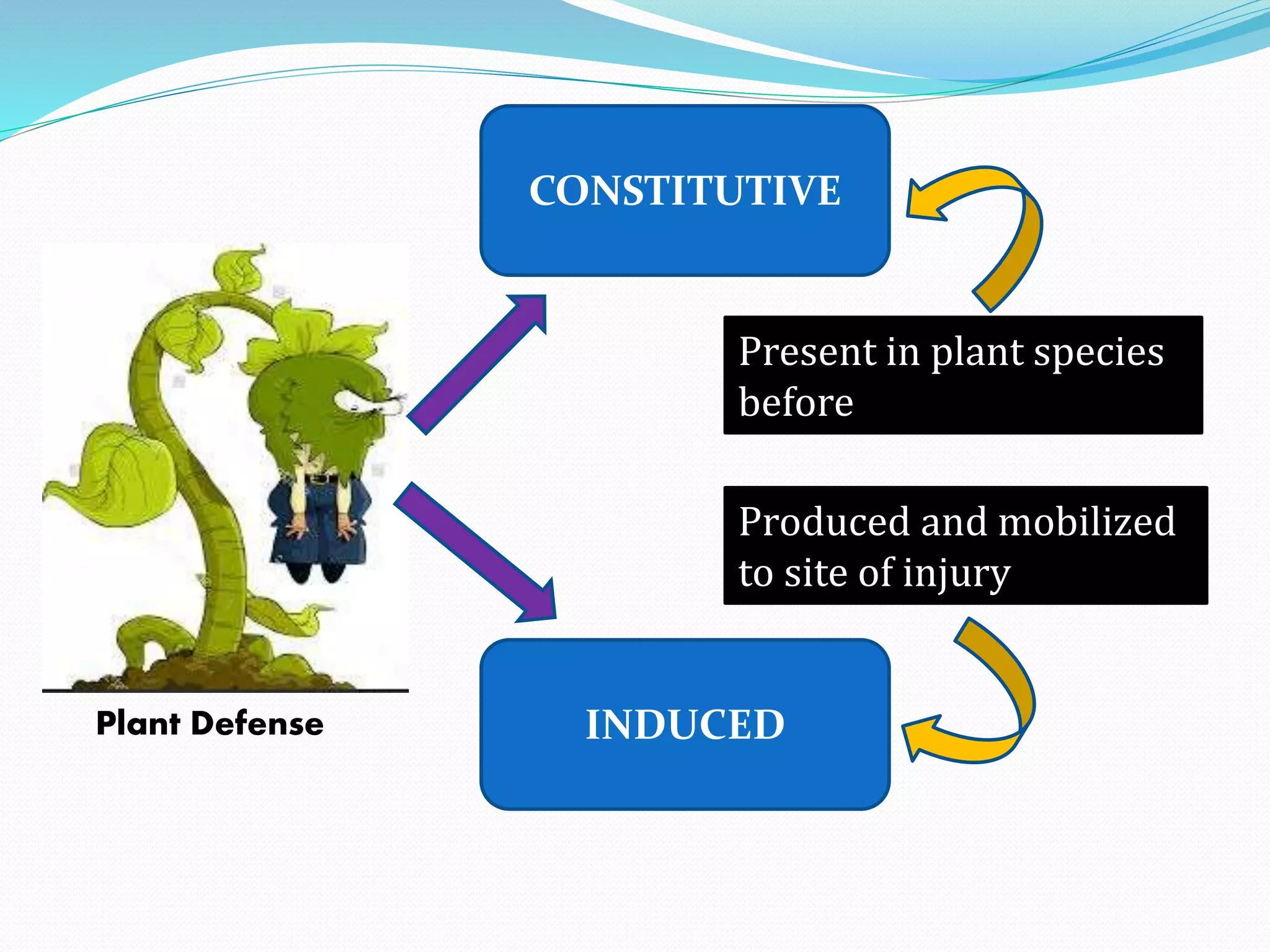 Morphological, Physiological and Anatomical Adaptations for Plant ...