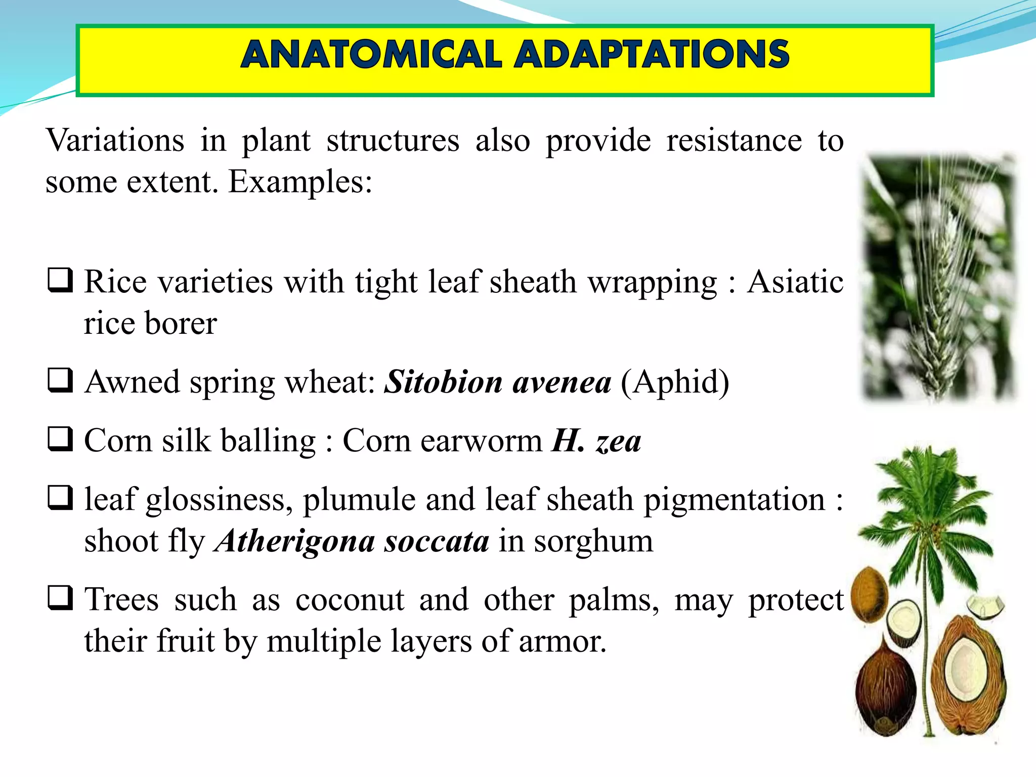 Morphological, Physiological and Anatomical Adaptations for Plant ...