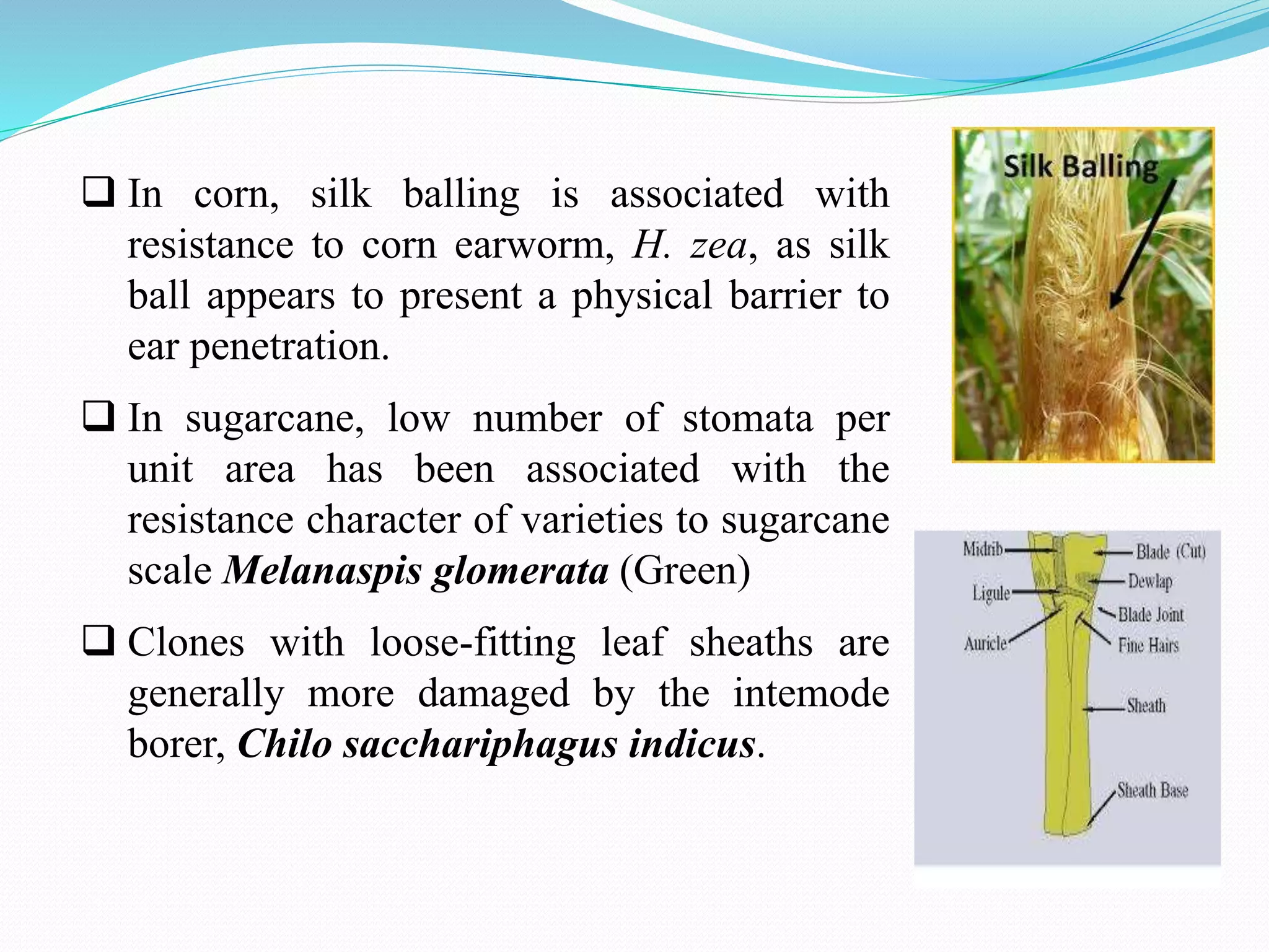 Morphological, Physiological and Anatomical Adaptations for Plant ...