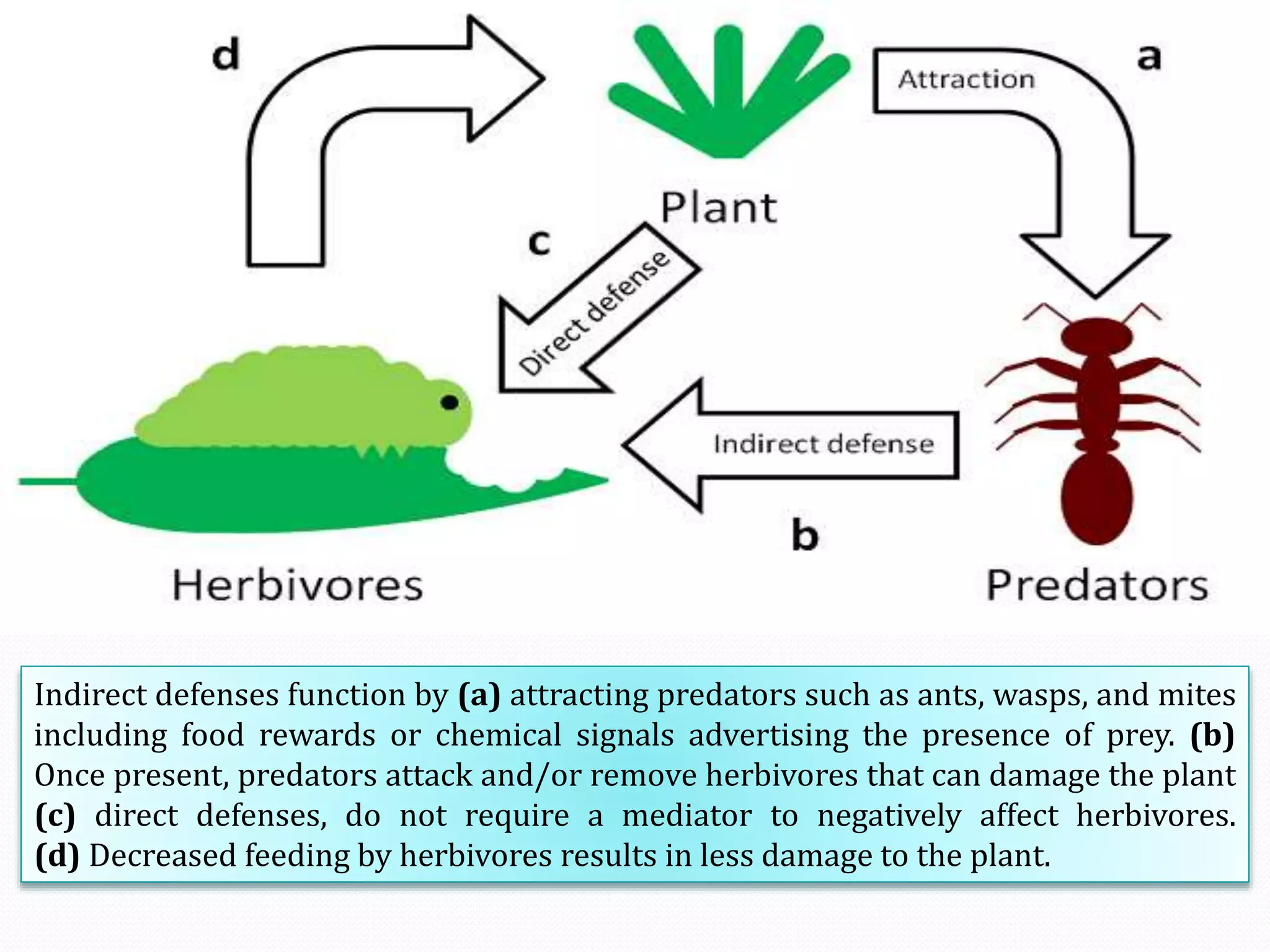 Morphological, Physiological and Anatomical Adaptations for Plant ...