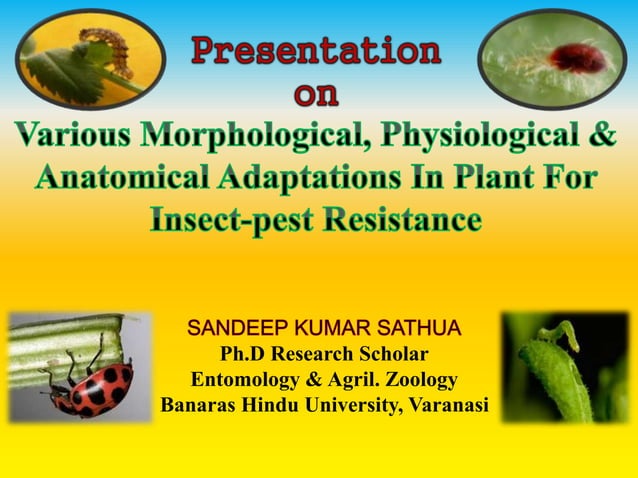 Morphological, Physiological and Anatomical Adaptations for Plant ...