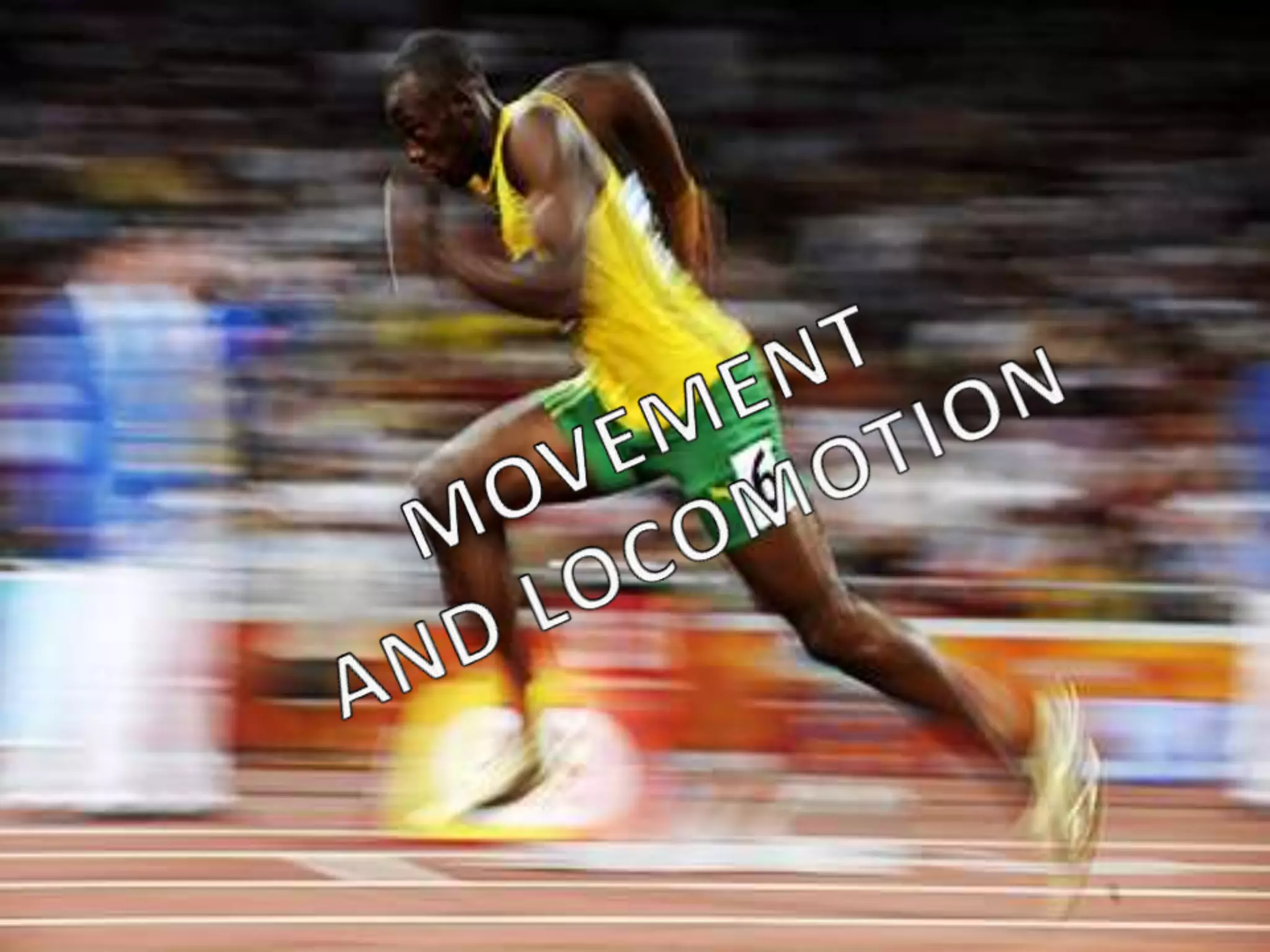Adaptations for running and swimming | PPTX