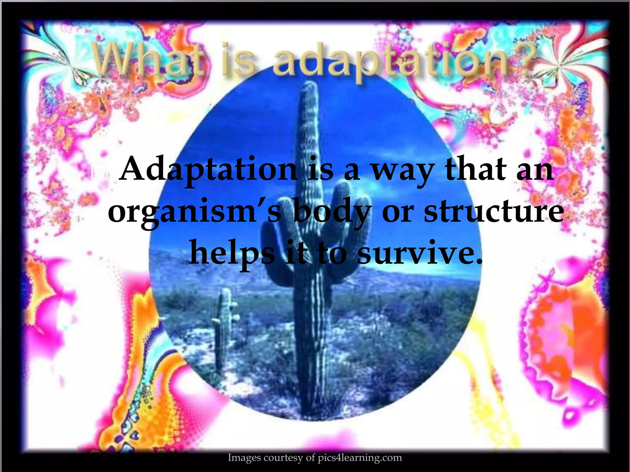 Adaptations for survival | PPTX