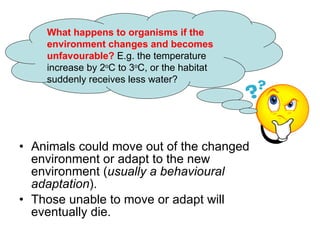 Adaptations For Survival (29 Jun) | PPT