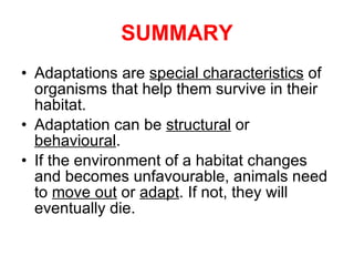 Adaptations For Survival (29 Jun) | PPT