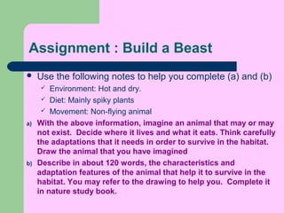 Adaptations in animals p6 elearning 2015 - day 1 | PPT