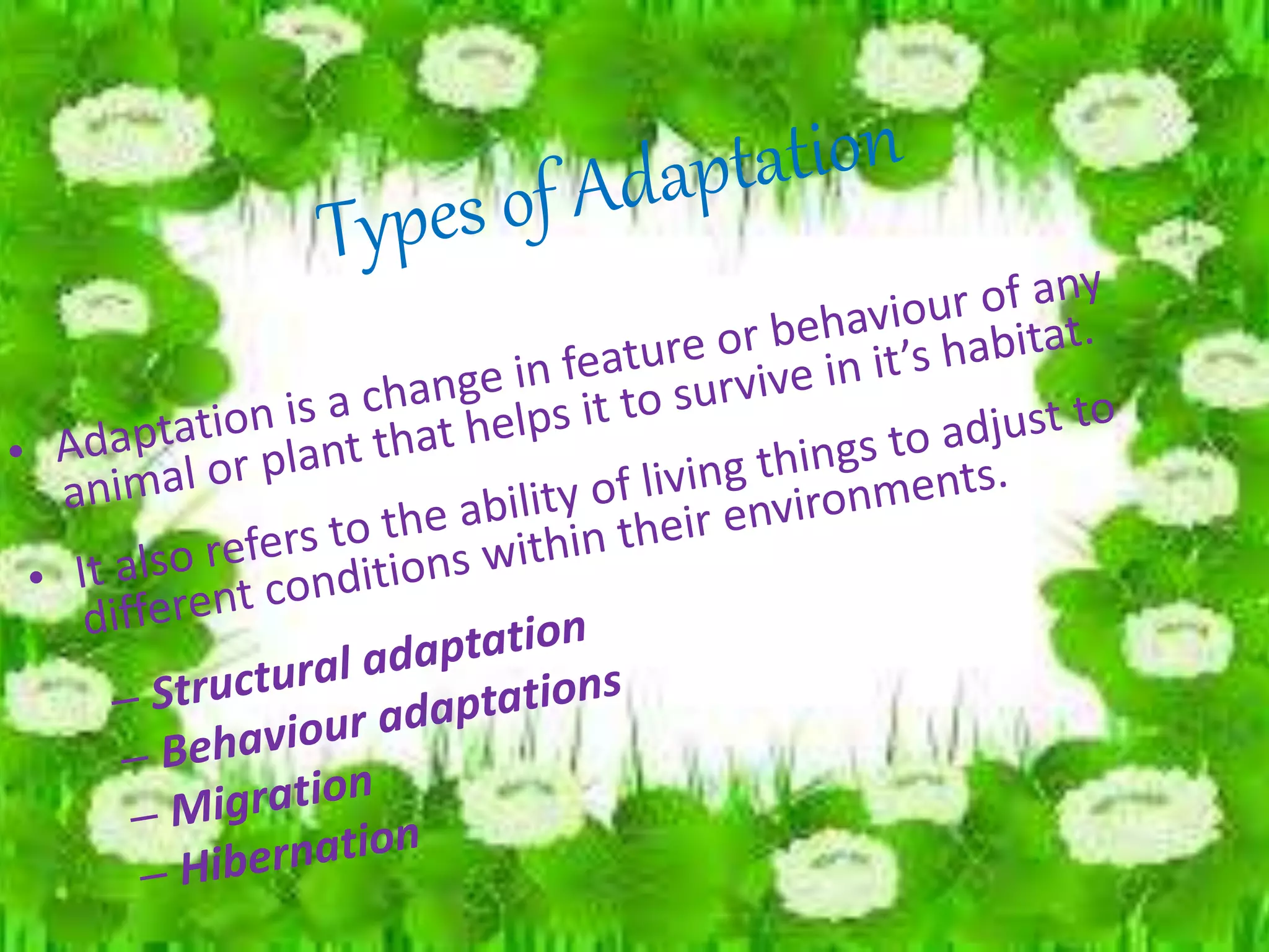 Adaptations in animals and plants | PPTX