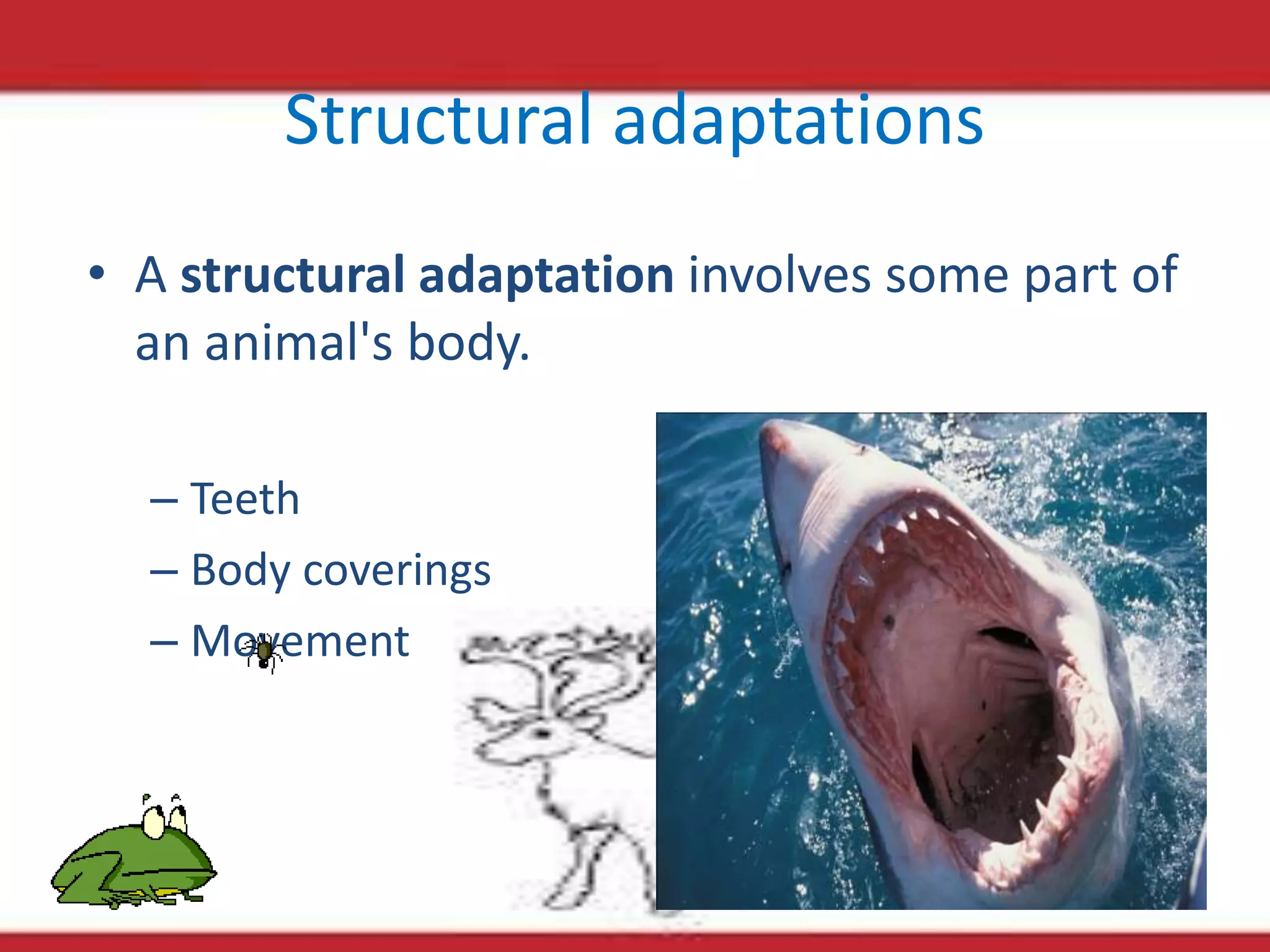 Adaptations in animals and plants | PPTX