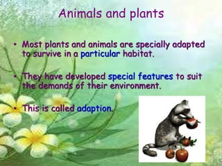 Adaptations in animals and plants | PPTX