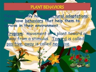 Adaptations in animals and plants | PPTX