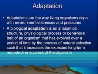 adaptations in animals for grade 4 students.pptx