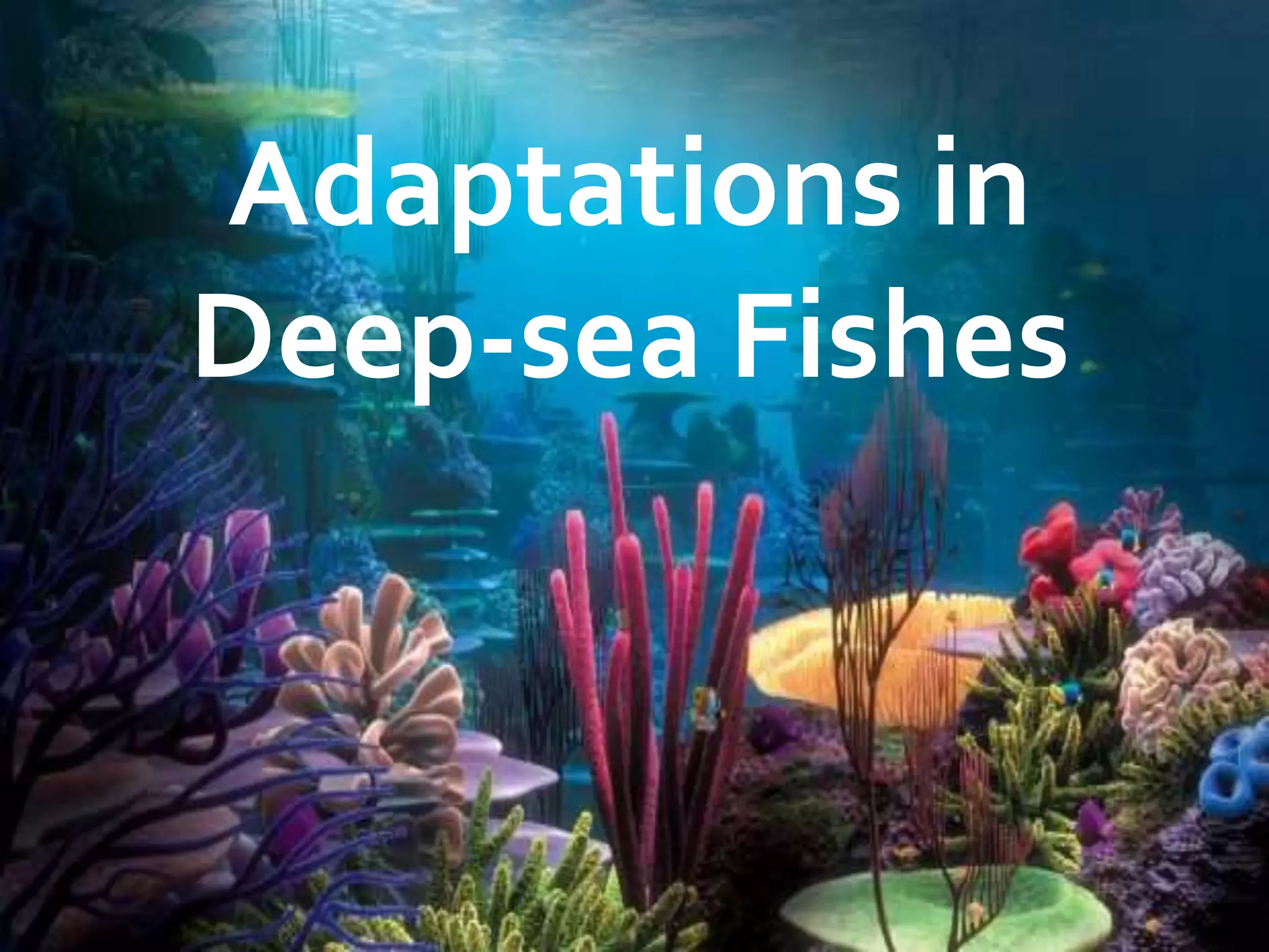 Adaptations in deep sea fishes | PPTX
