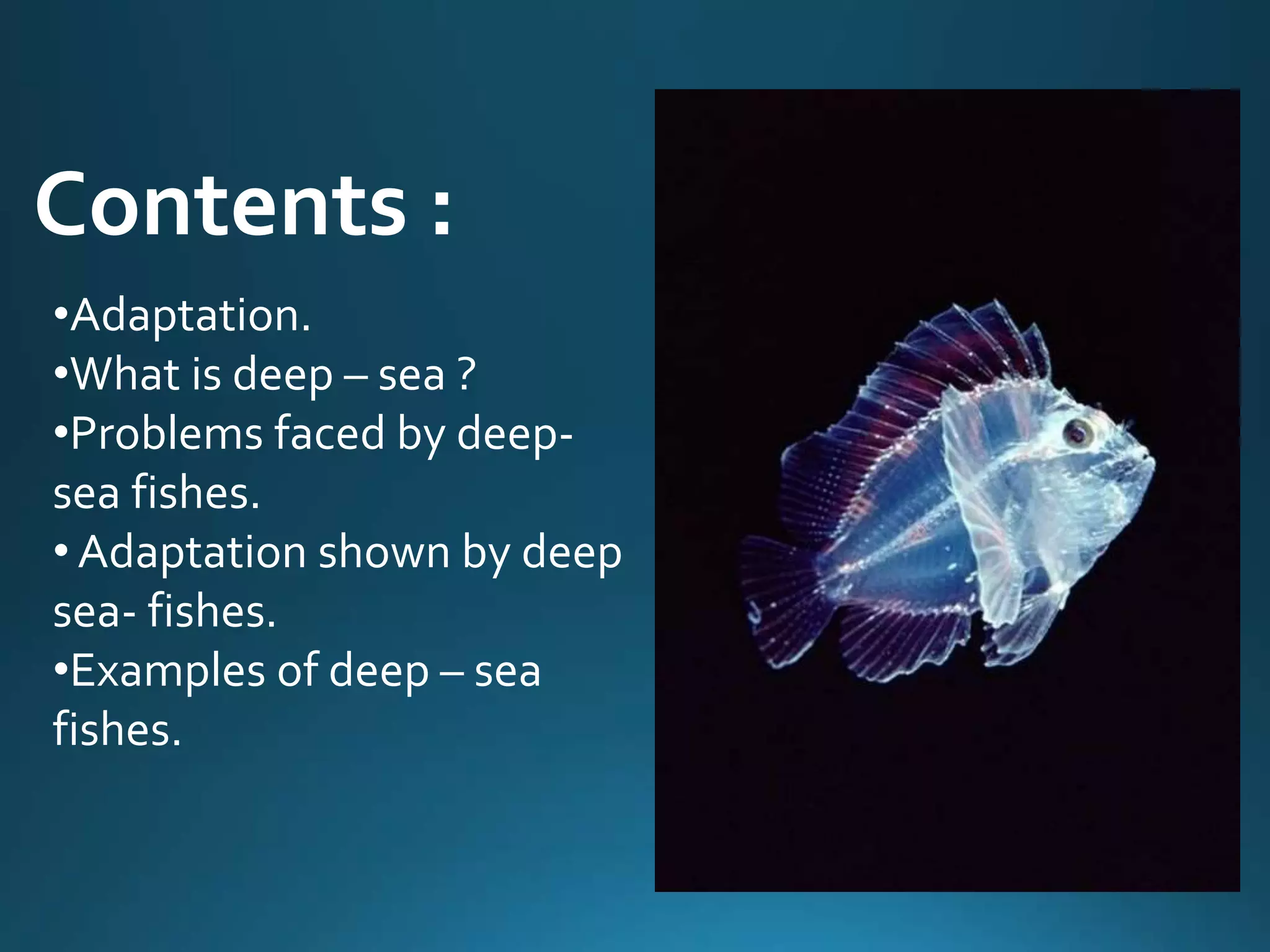 Adaptations in deep sea fishes | PPTX