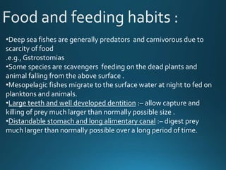 Adaptations in deep sea fishes | PPTX