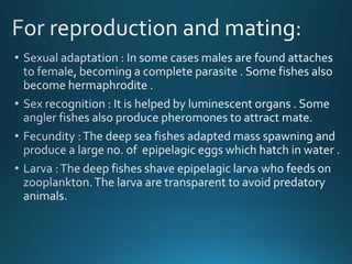 Adaptations in deep sea fishes | PPTX