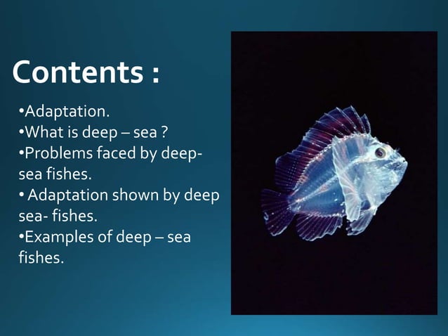Adaptations in deep sea fishes | PPTX | Fishing Sports | Sports