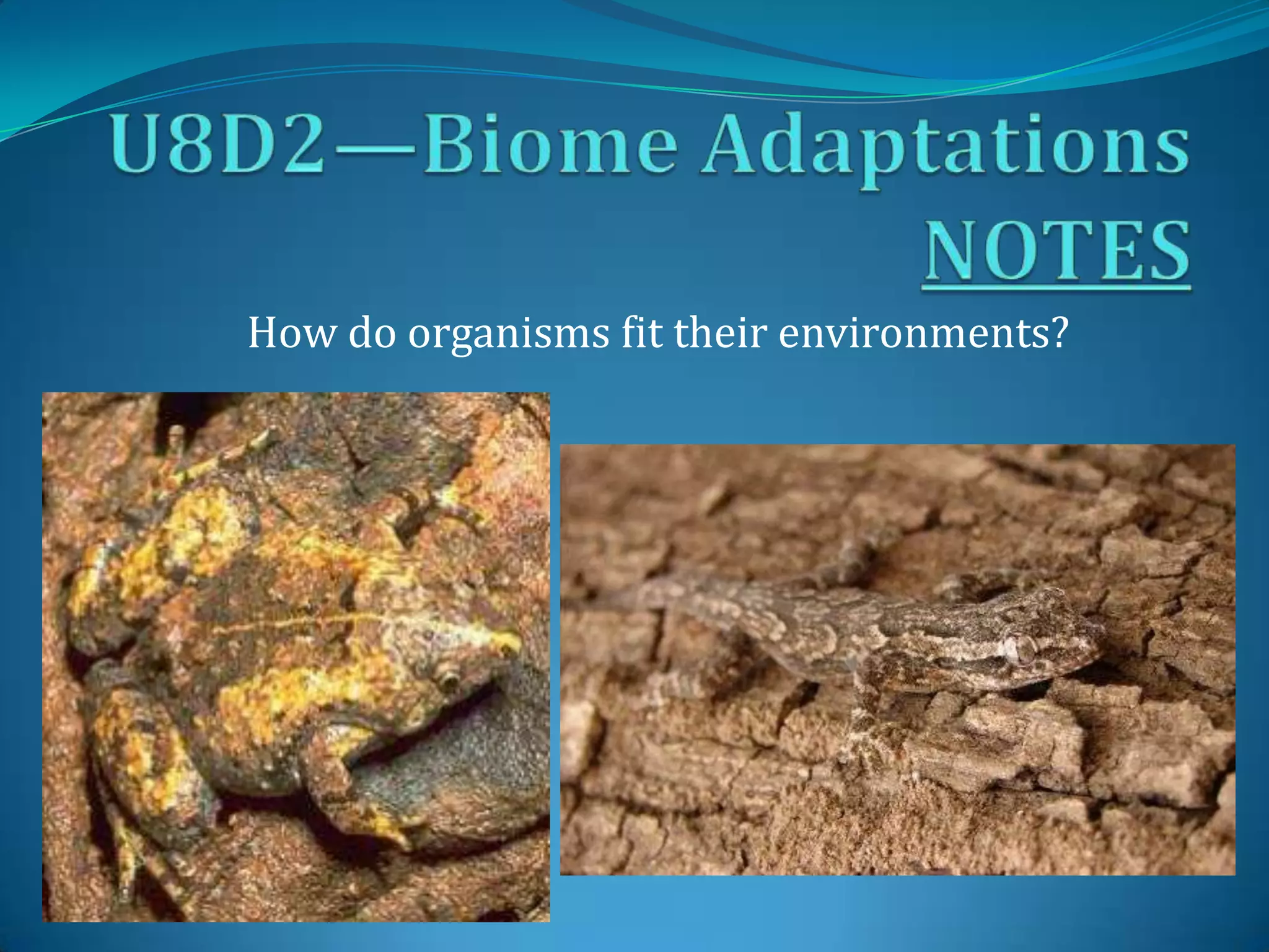 Adaptations in different biomes notes | PPTX