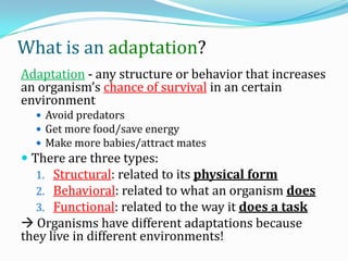 Adaptations in different biomes notes | PPTX