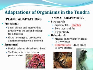 Adaptations in different biomes notes | PPTX