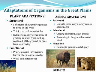 Adaptations in different biomes notes | PPTX