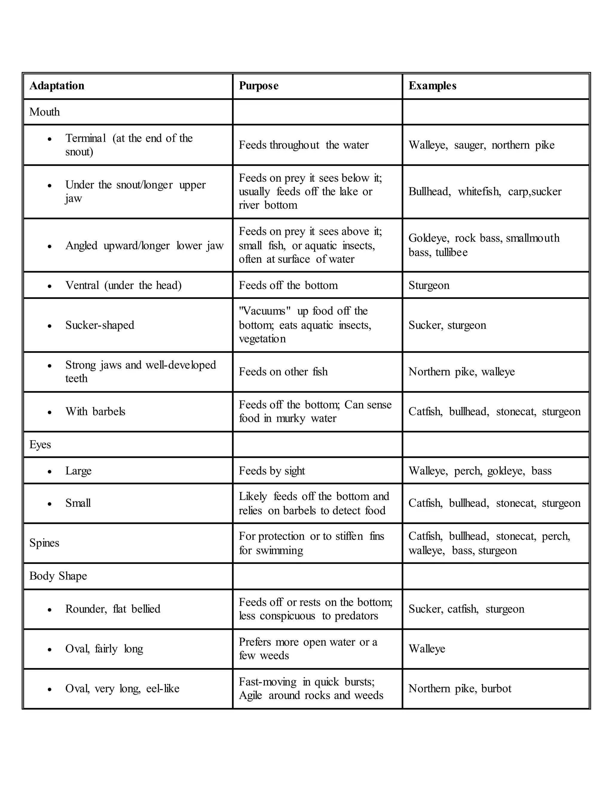 Adaptations in fishes | DOCX