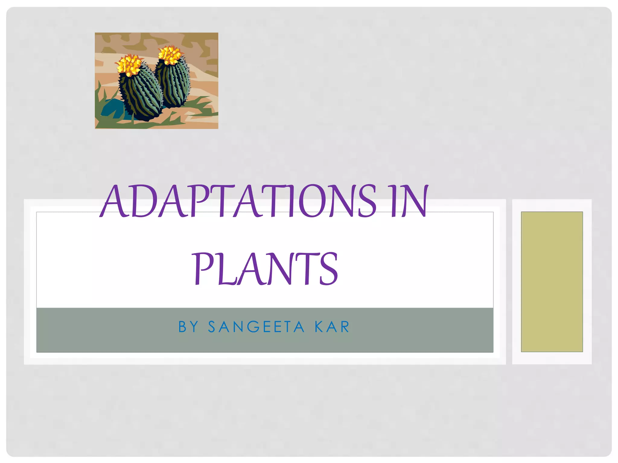Adaptations in plants | PPT