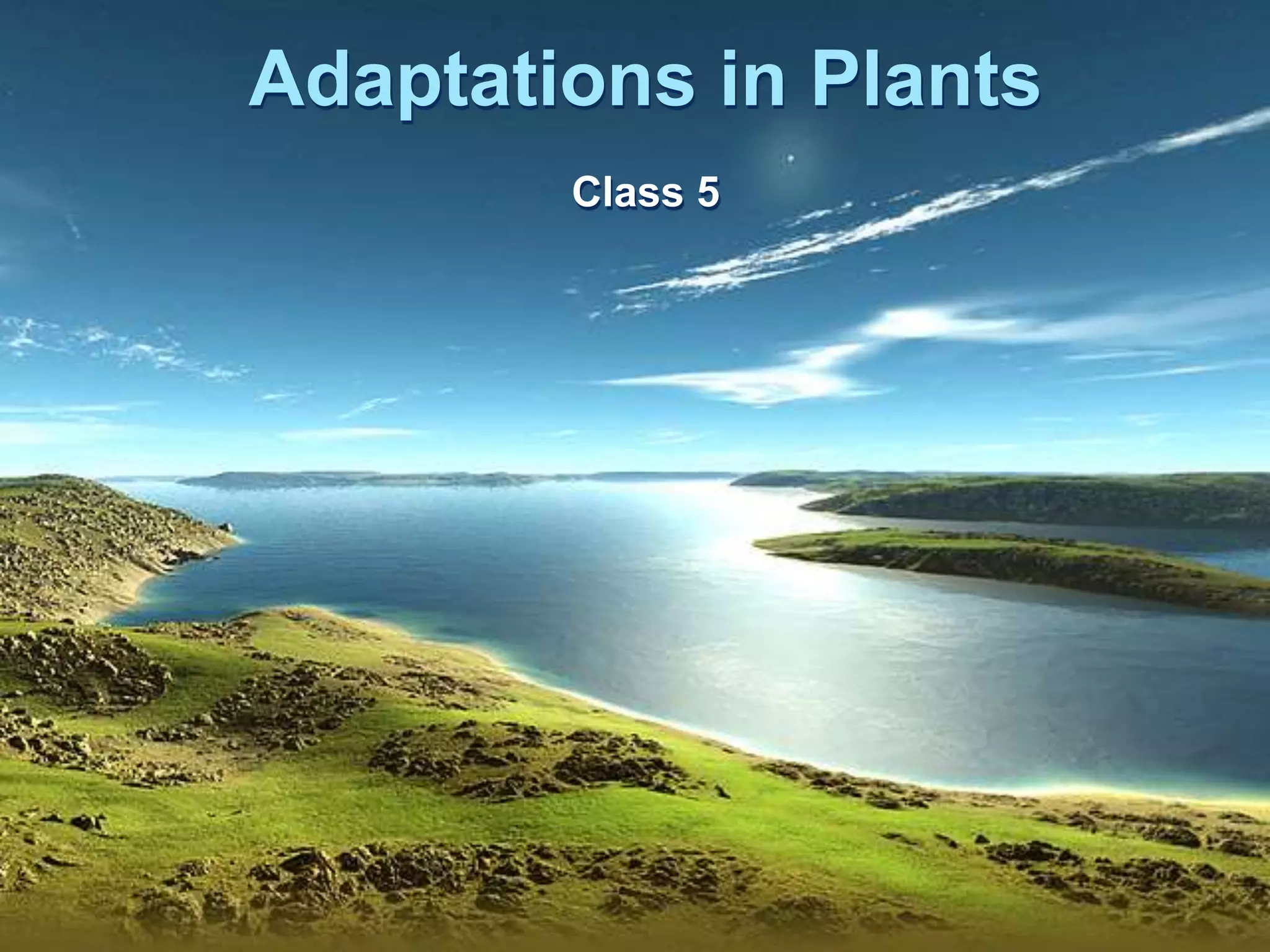 Adaptations in plants | PPTX