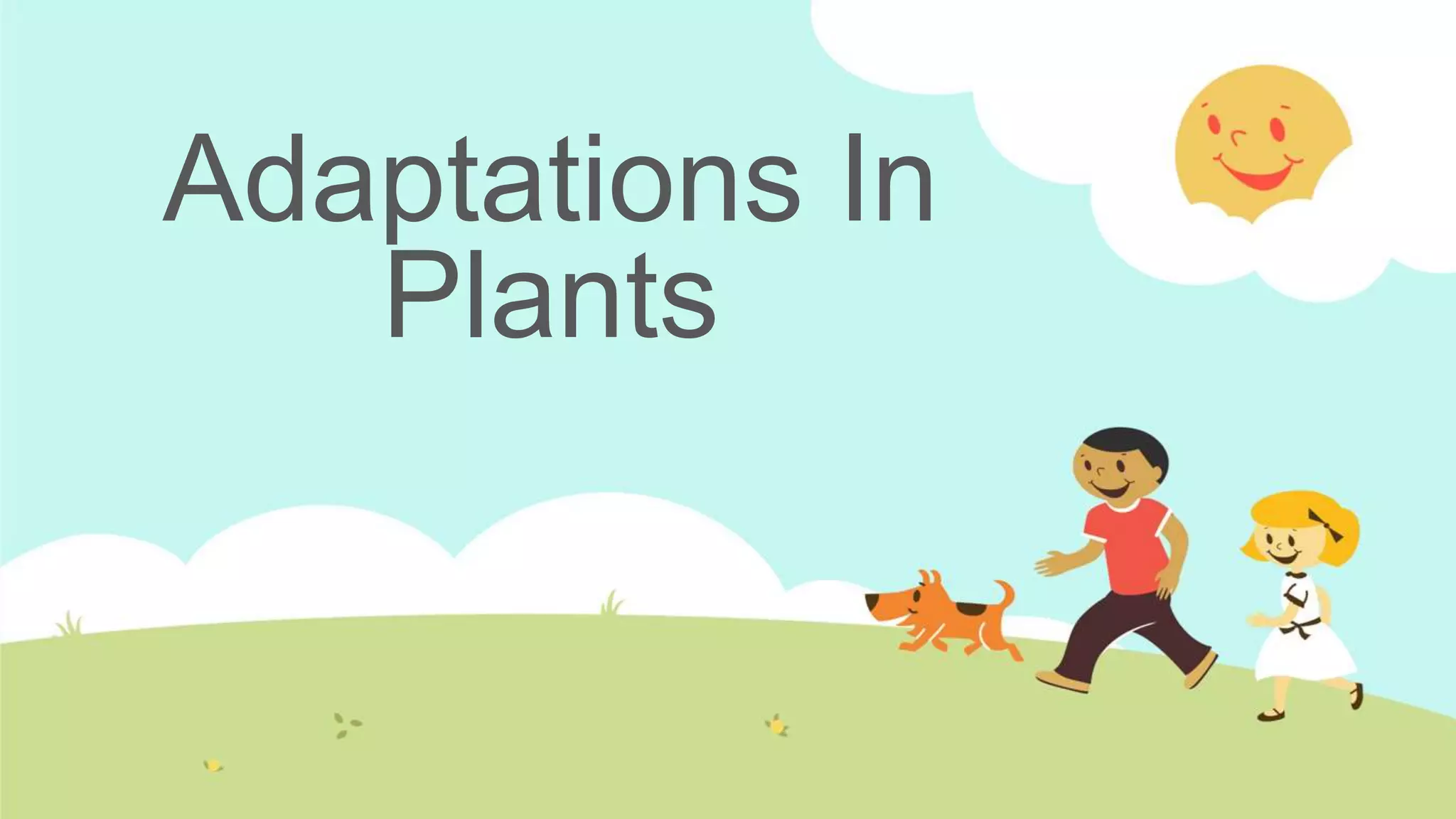 Adaptations In Plants.pptx