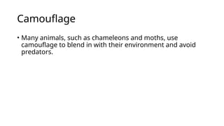 ppt Adaptations in the Animal Kingdom.pptx