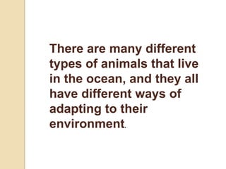 Adaptations Of Aquatic Animals Powerpoint | PPTX