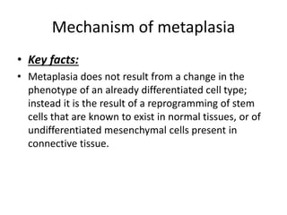 Adaptations of cellular growth | PPTX