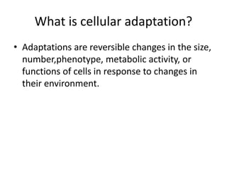 Adaptations of cellular growth | PPT