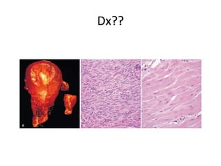 Adaptations of cellular growth | PPT