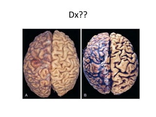 Adaptations of cellular growth | PPT
