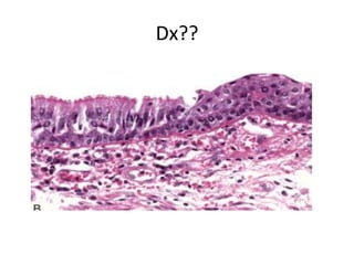 Adaptations of cellular growth | PPT