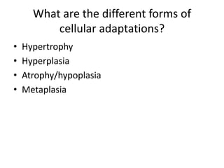 Adaptations of cellular growth | PPT