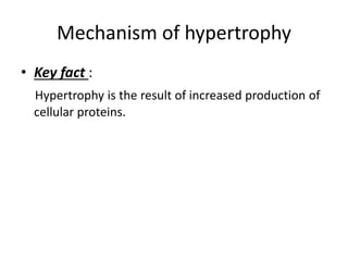 Adaptations of cellular growth | PPT