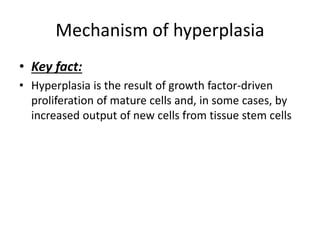 Adaptations of cellular growth | PPT