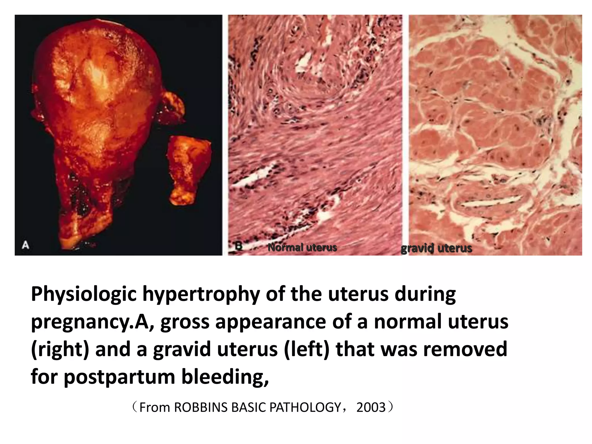 Adaptations of cellular growth and diffrentiation | PPTX