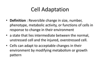 Adaptations of cellular growth and diffrentiation | PPTX